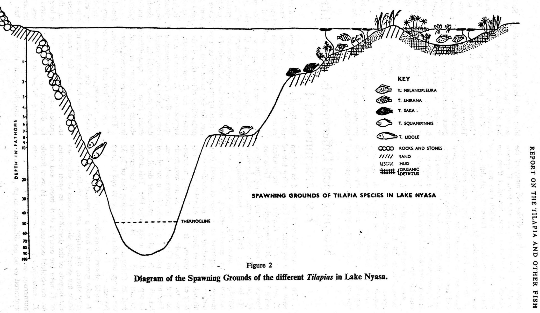 Lake Nyasa Location