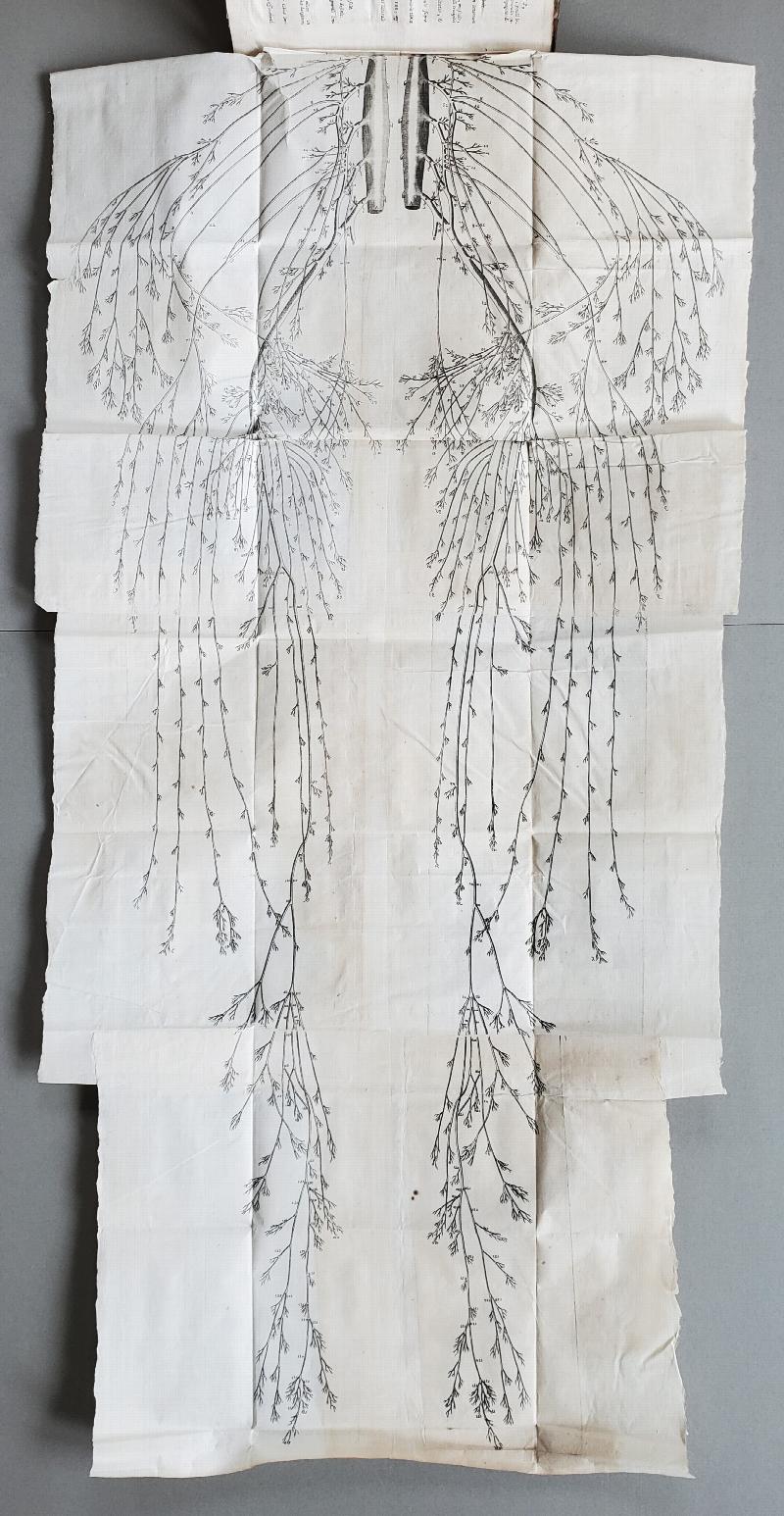 Neurographia Universalis