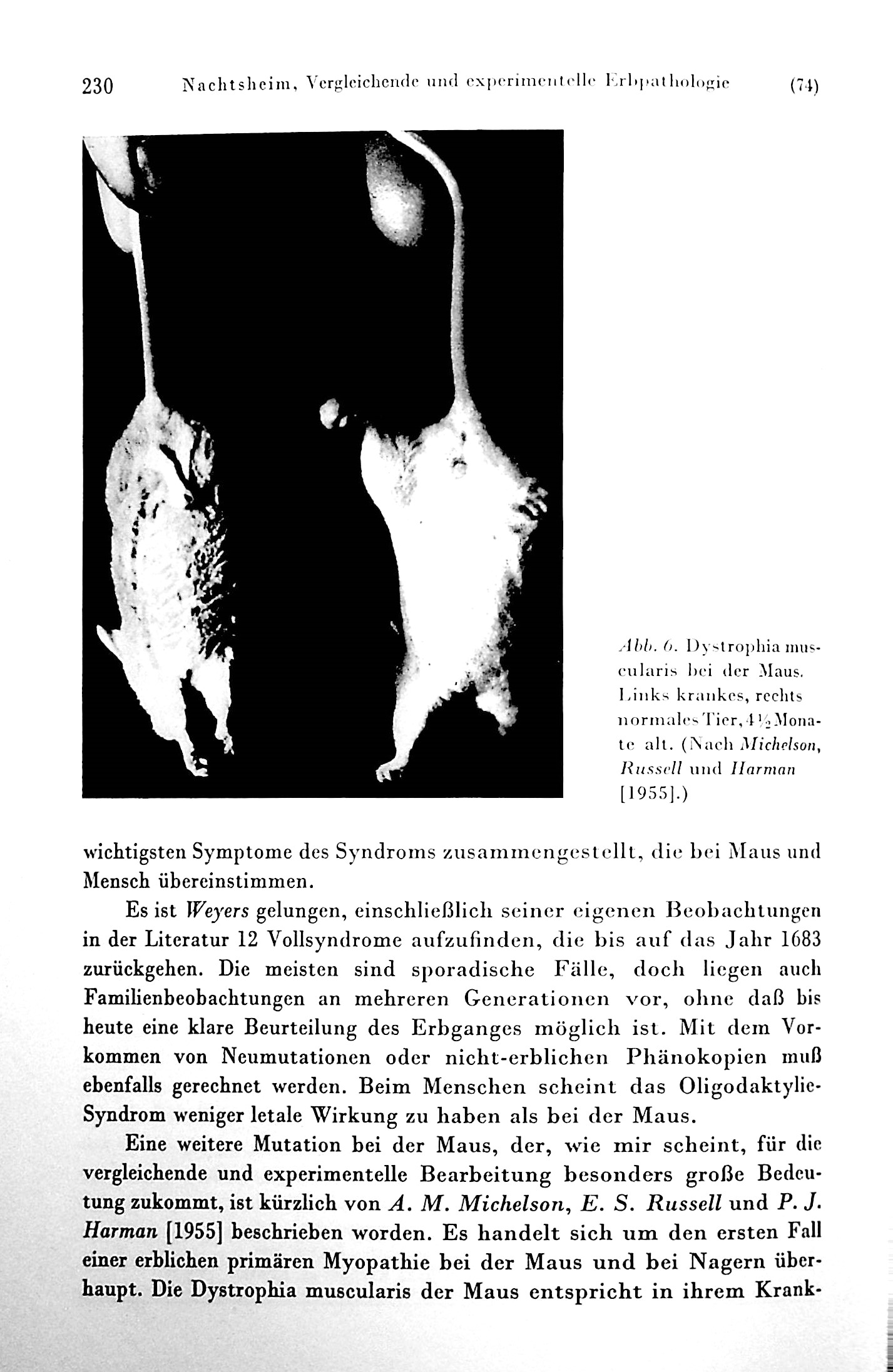 Proceedings of the First International Congress of Human Genetics ...