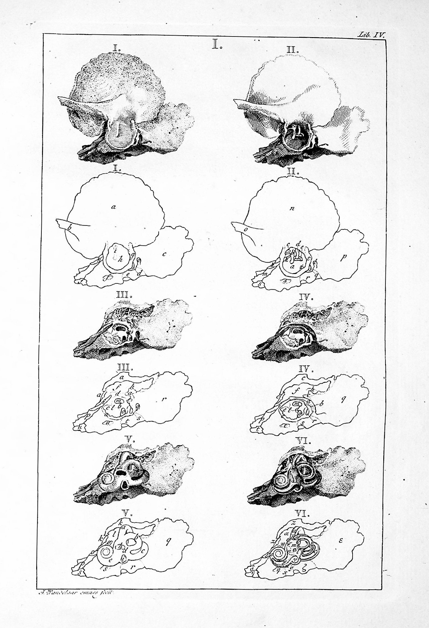 Academicarum Annotationum. Liber Primus. Continet anatomica ...