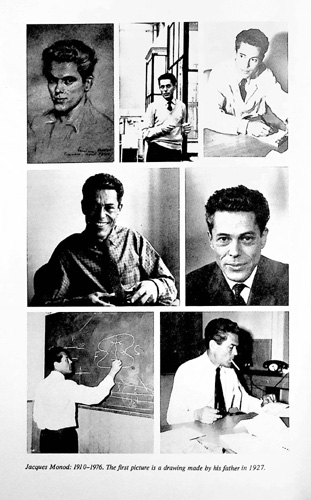 Origins of Molecular Biology. A Tribute to Jacques Monod